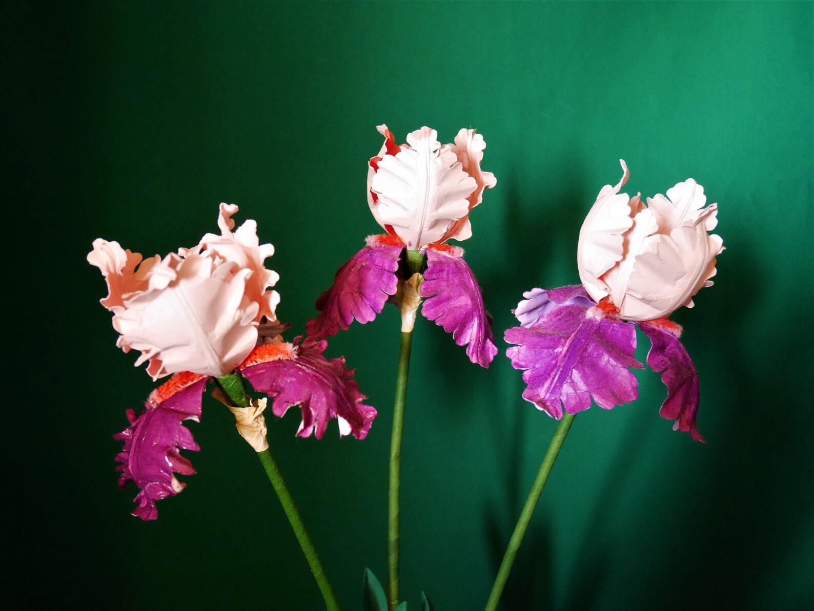 Dwarf Bearded Iris - Paper Flowers - Templates - Instant Download ...