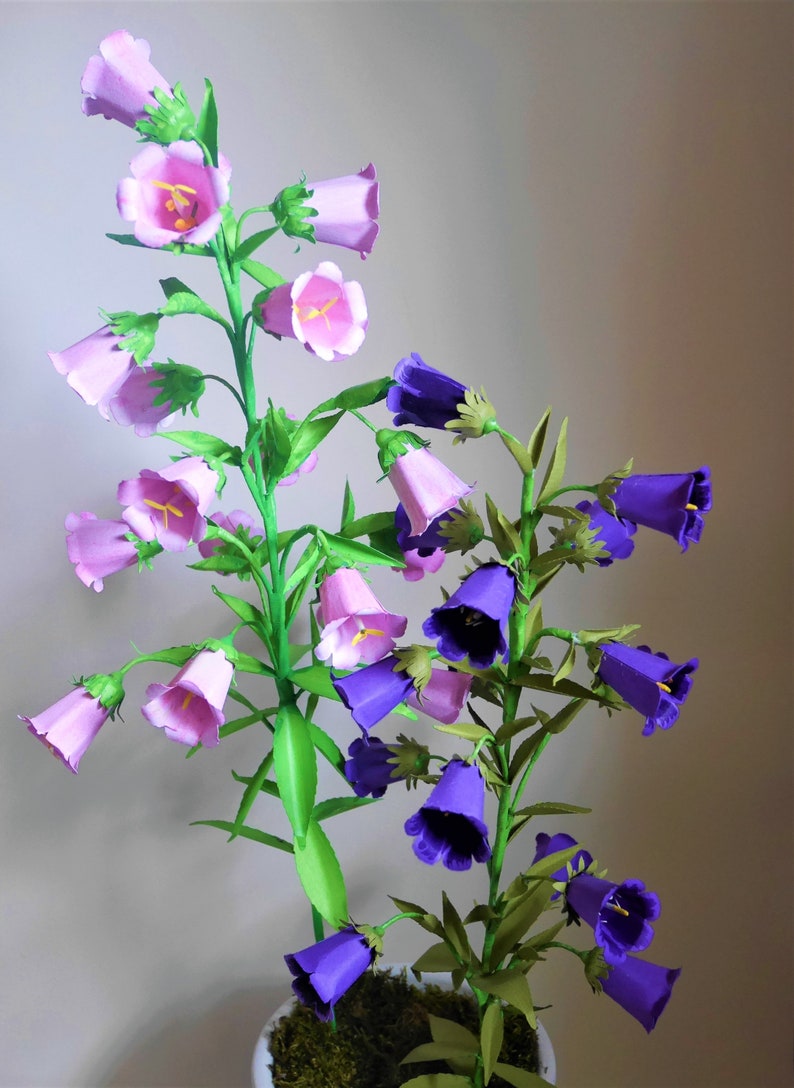 Canterbury Bells - Paper Flower - Templates - Instant Download - SVG ...