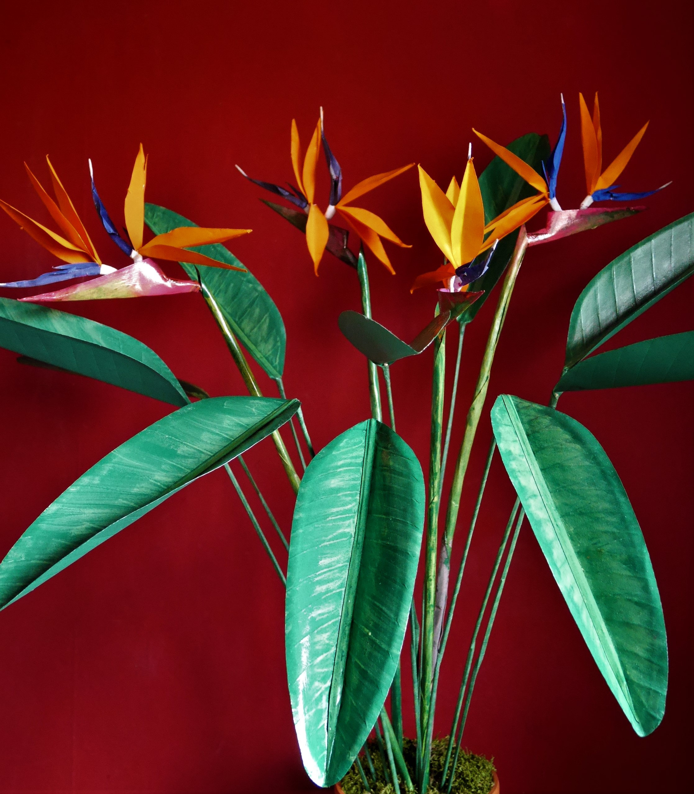 Bird of Paradise - Paper Flower - Templates - Digital Delivery - SVG ...