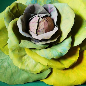 Ornamental Cabbage - Templates - DIY - Instant Download - Video ...