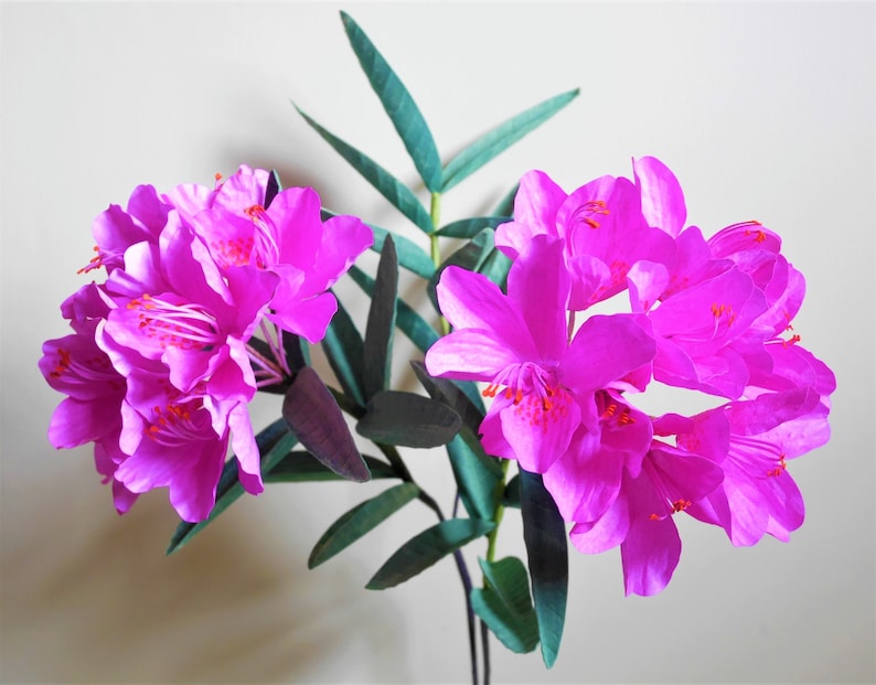 Rhododendron - Template - Paper Flower - Instant Download - Video ...