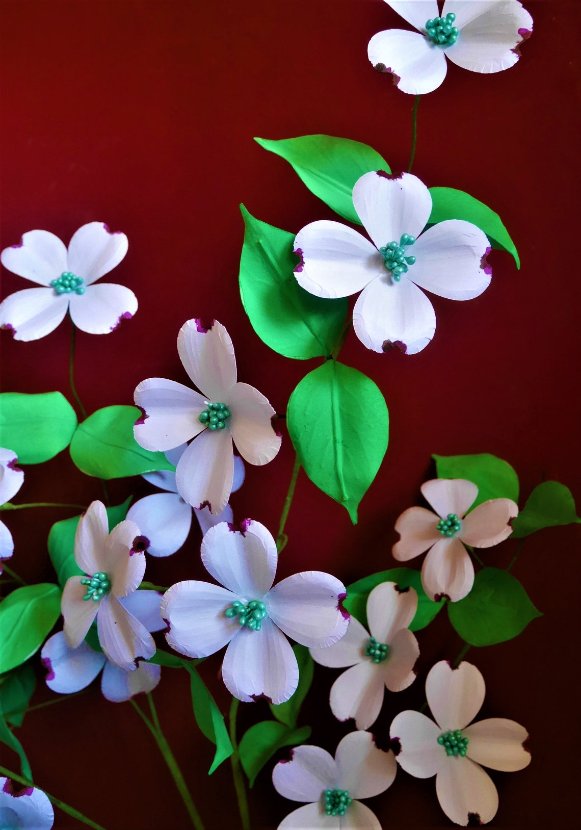 Dogwood Paper Flower Templates Instant Download Video - Etsy