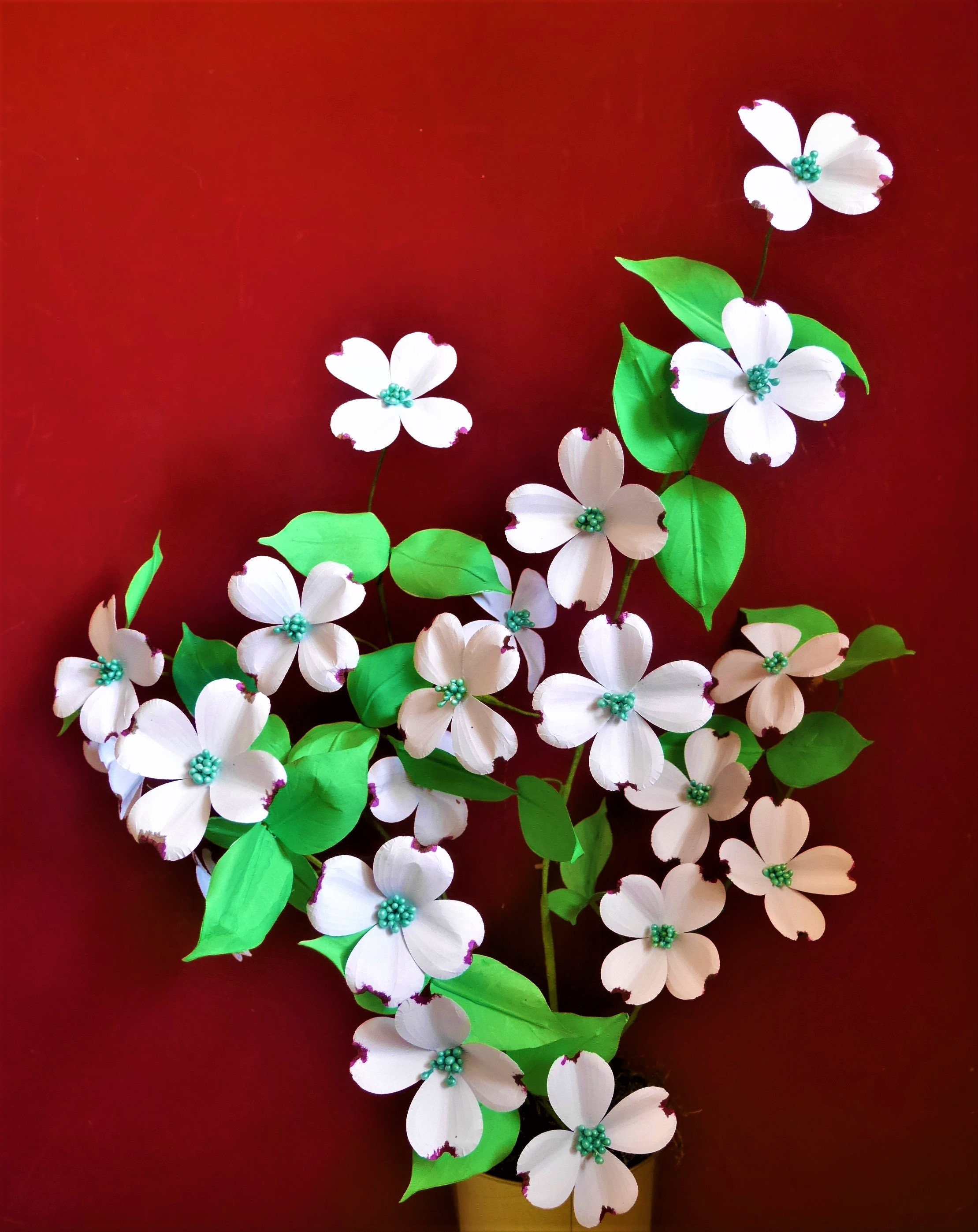 Dogwood Paper Flower Templates Instant Download Video - Etsy