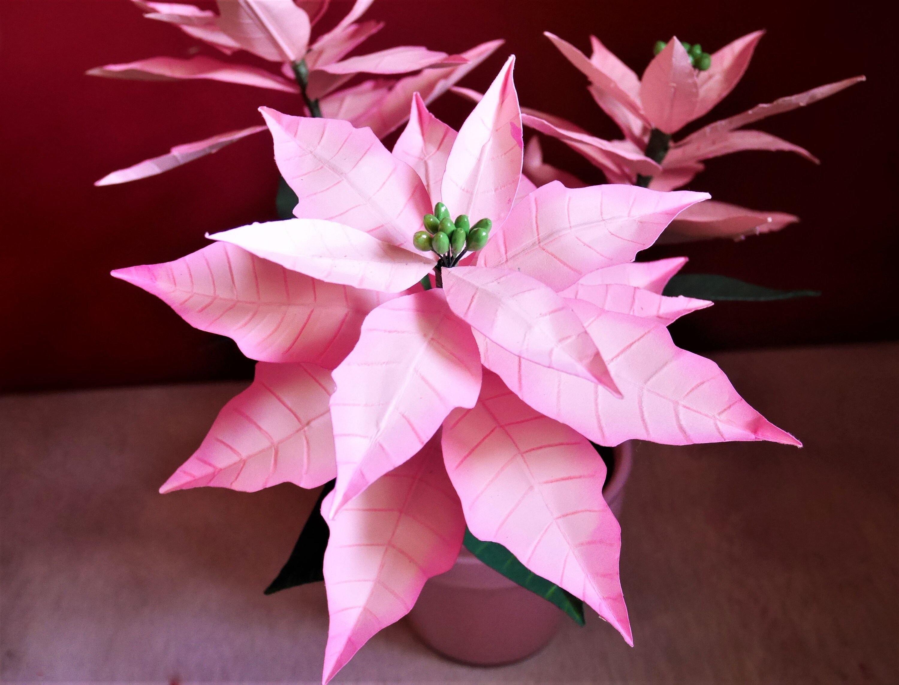 Poinsettia - Paper Flower - Templates - Instant Download - Video ...