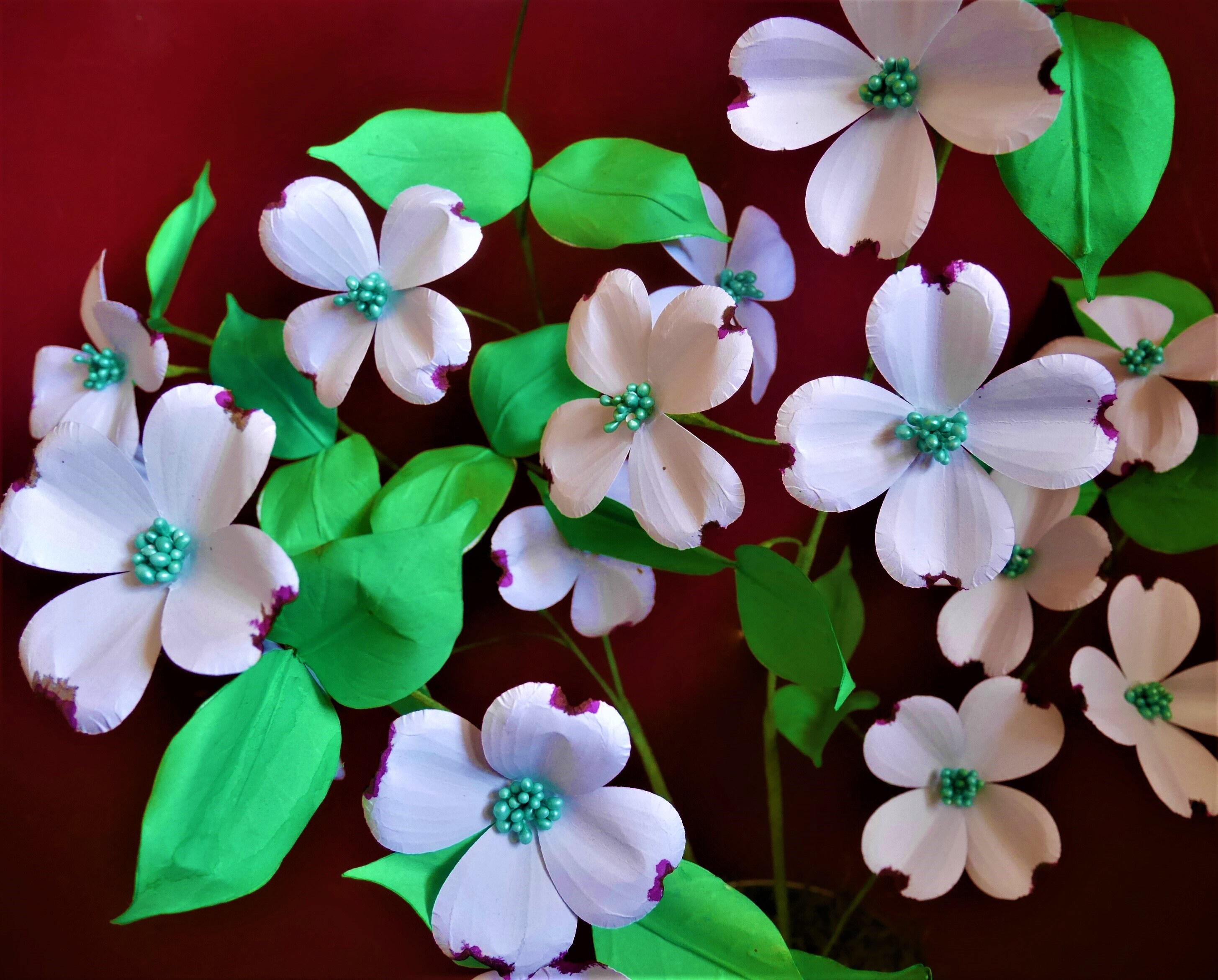 Dogwood Paper Flower Templates Instant Download Video - Etsy