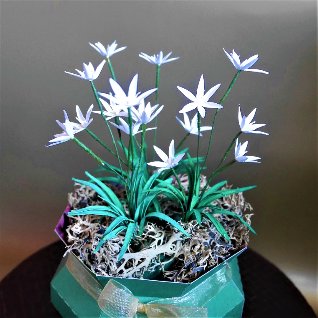 Star of Bethlehem Flower + Planter - Templates - Paper Flower - 3D ...