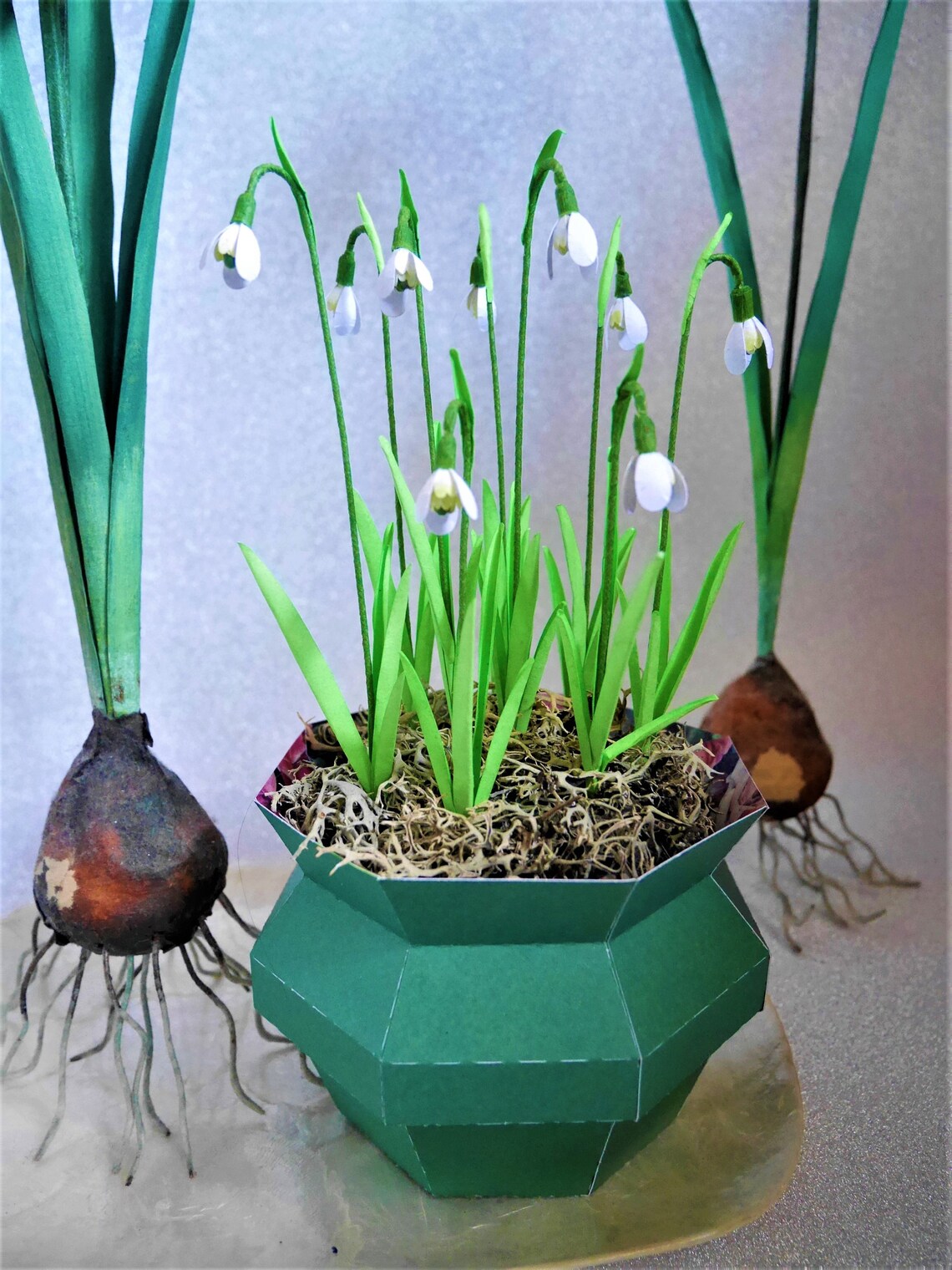 Snowdrops and Planter Paper Flower Templates Video - Etsy