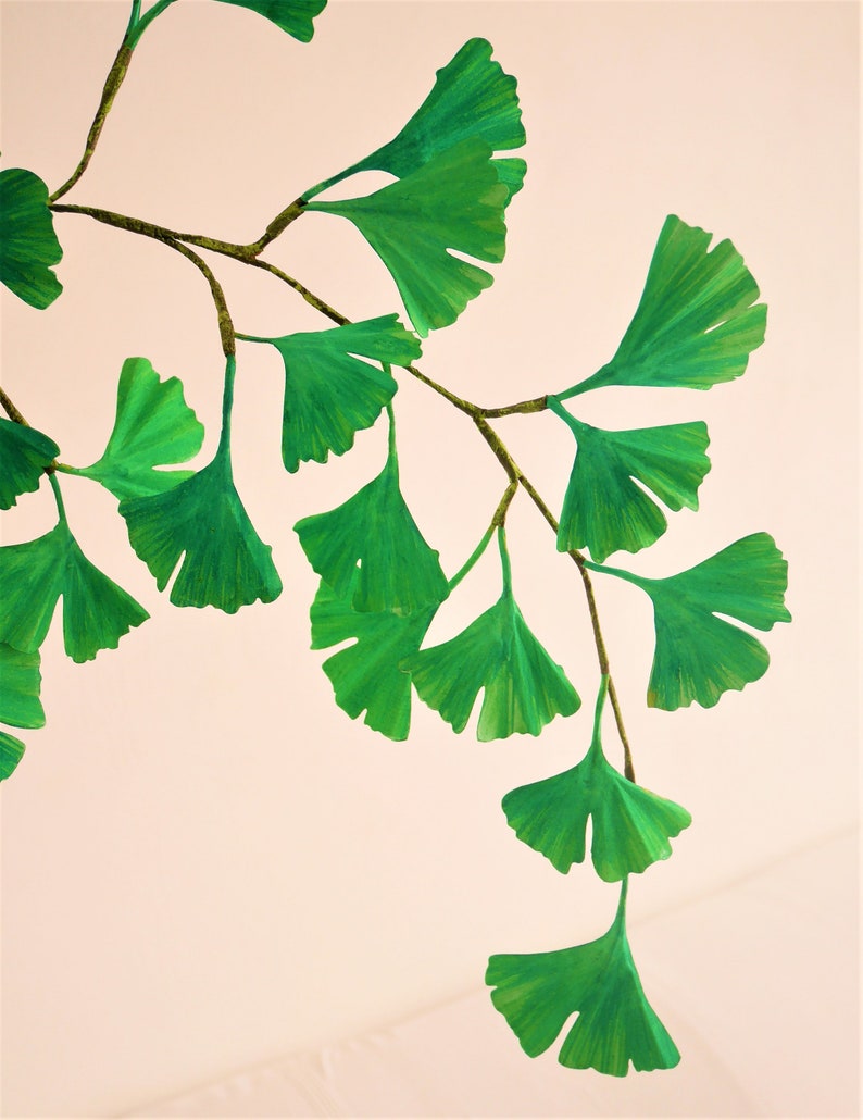 Ginkgo Templates Instant Download Video Tutorial SVG - Etsy