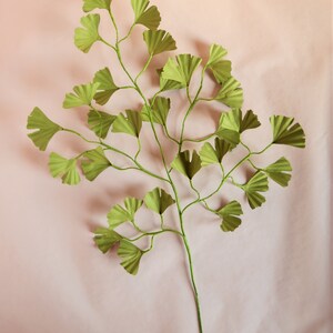 Ginkgo - Templates - Instant Download - Video Tutorial - SVG ...