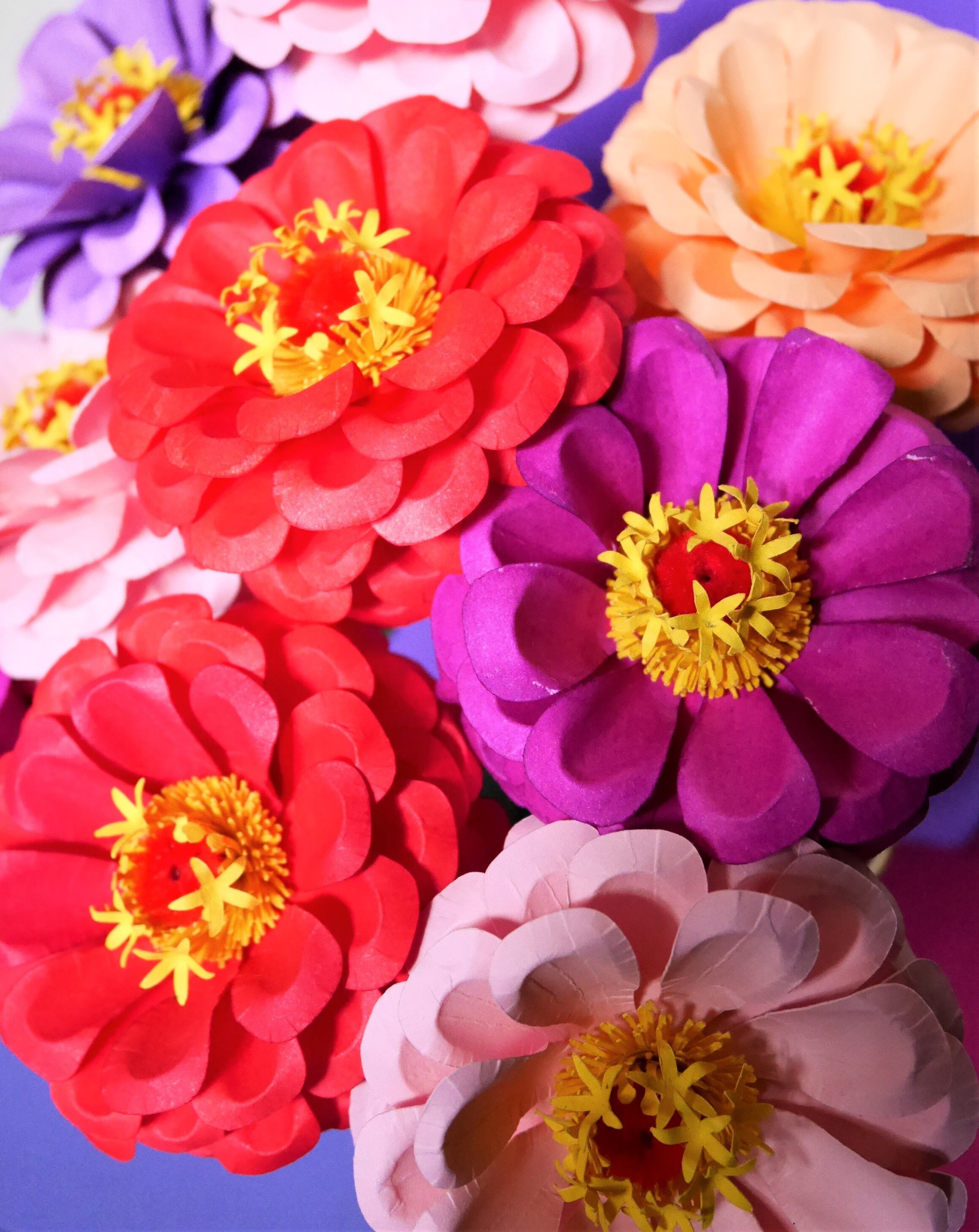 Zinnia Elegance California Giant Paper Flower Template - Etsy