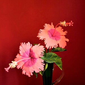 Hawaiian Hibiscus - Paper Flower - Templates - Video Tutorial - SVG ...