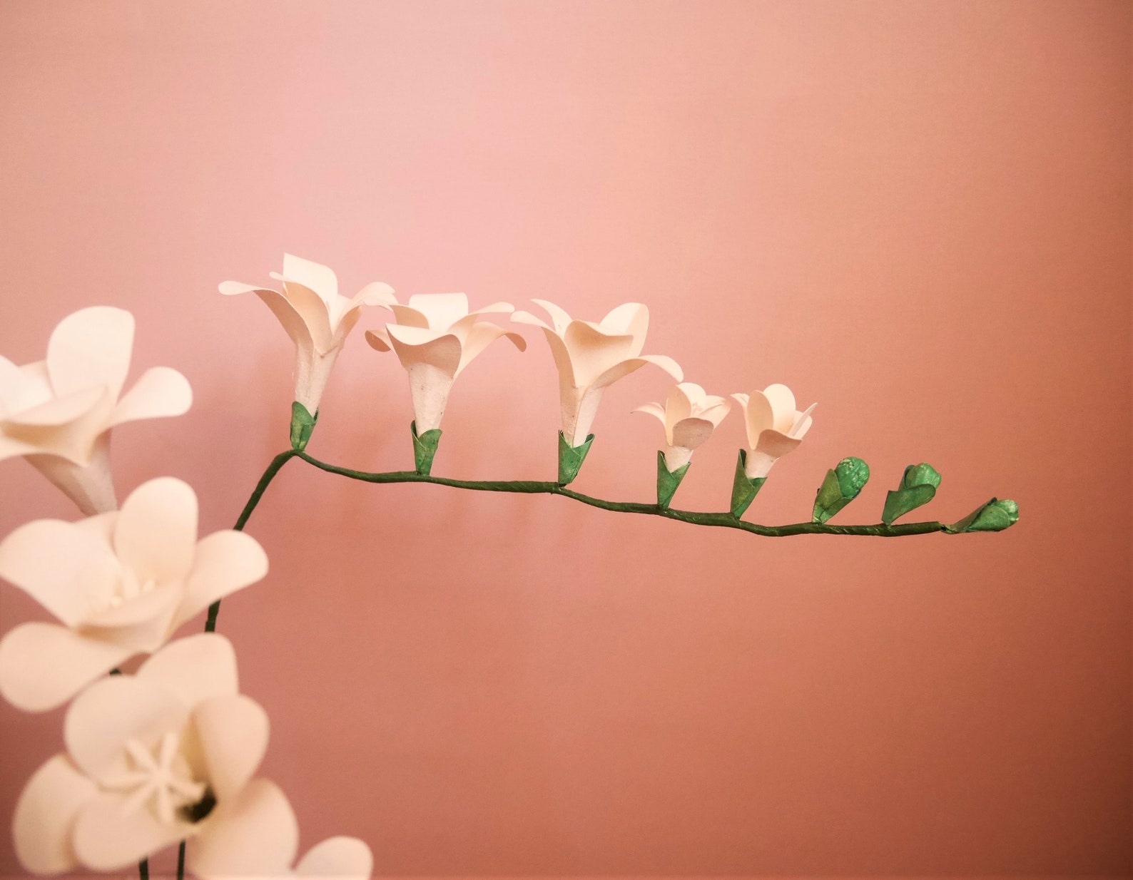 Freesia Paper Flower Templates Video Tutorial Digital | Etsy