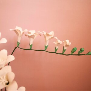 Freesia - Paper Flower - Templates - Video Tutorial - Instant Download ...