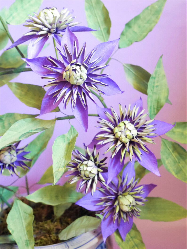 Taiga Clematis Paper Flowers Templates DIY Instant - Etsy