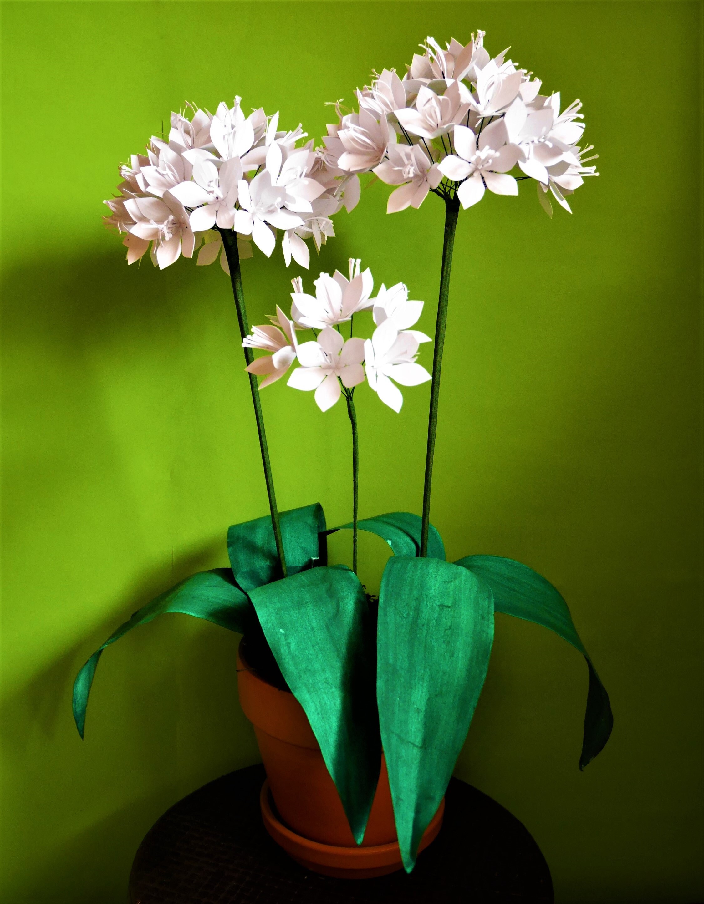 White Allium Paper Flower Templates Digital Delivery | Etsy Australia