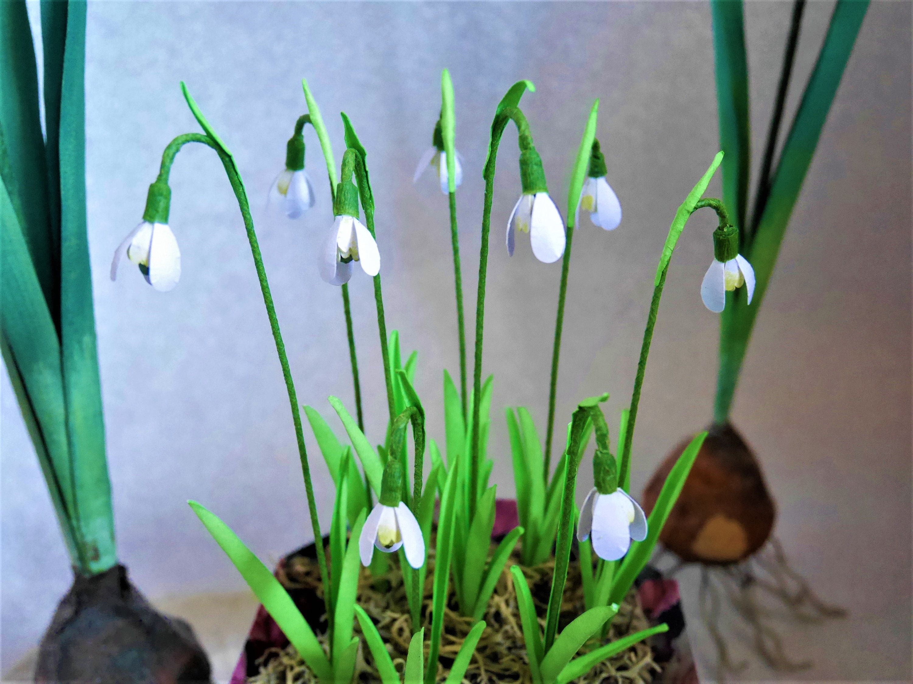 Snowdrops and Planter Paper Flower Templates Video - Etsy