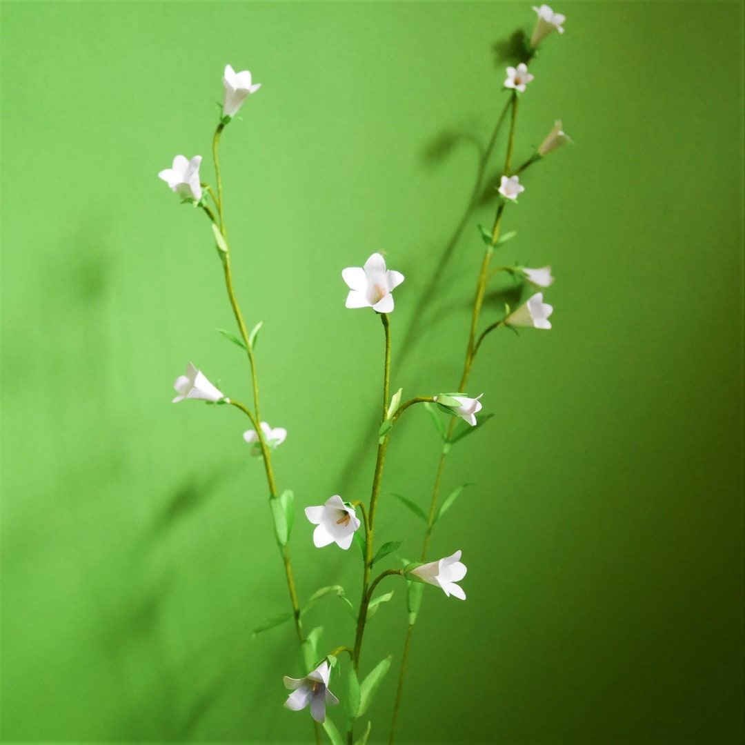 Campanula Latifolia - Paper Flowers - Templates - Instant Download ...