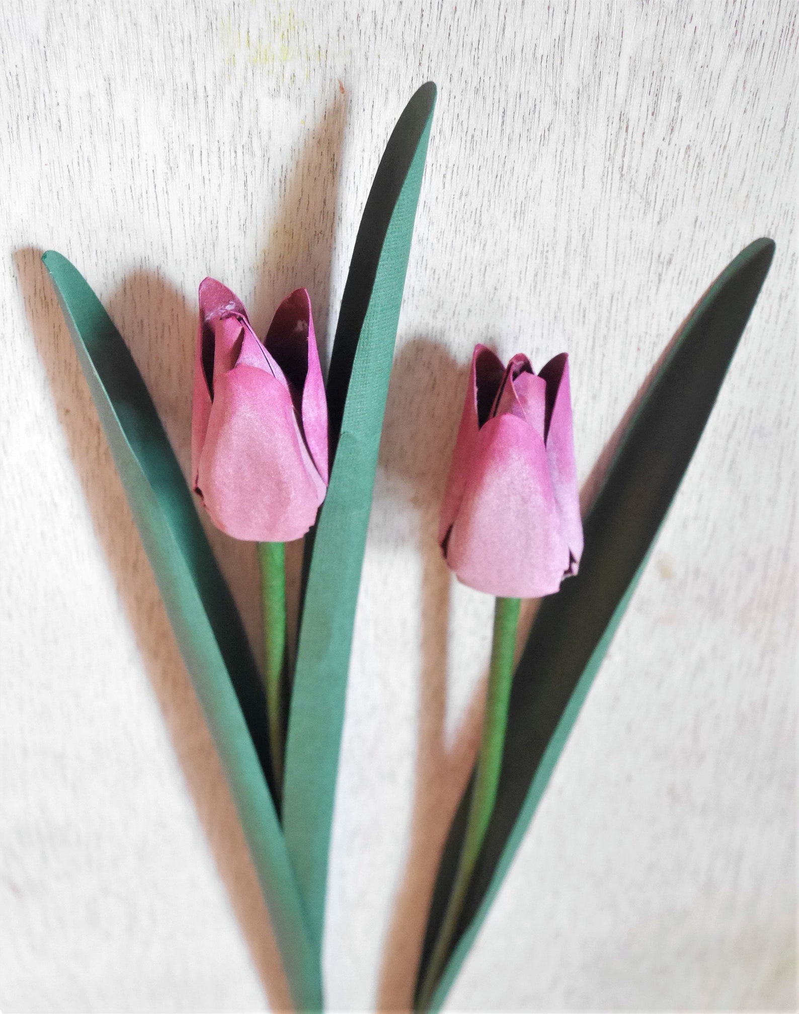 MG Tulip - Paper Flower - Templates - DIY - Instant Download - Video ...