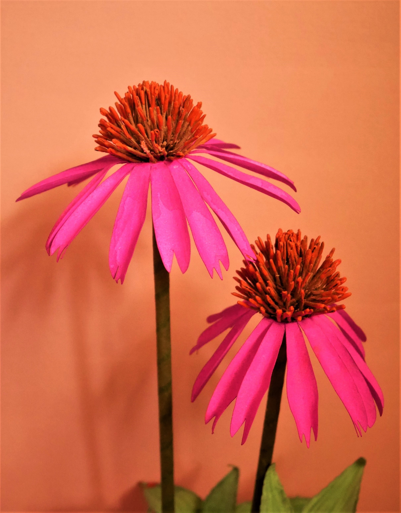 Cone Flower Paper Flower Templates Video Tutorial - Etsy