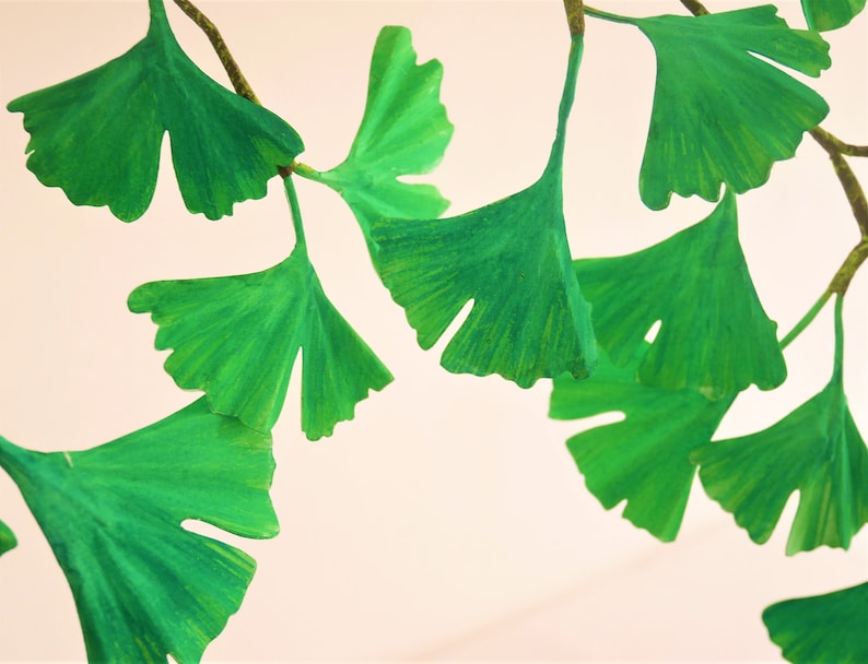 Ginkgo Templates Instant Download Video Tutorial SVG - Etsy