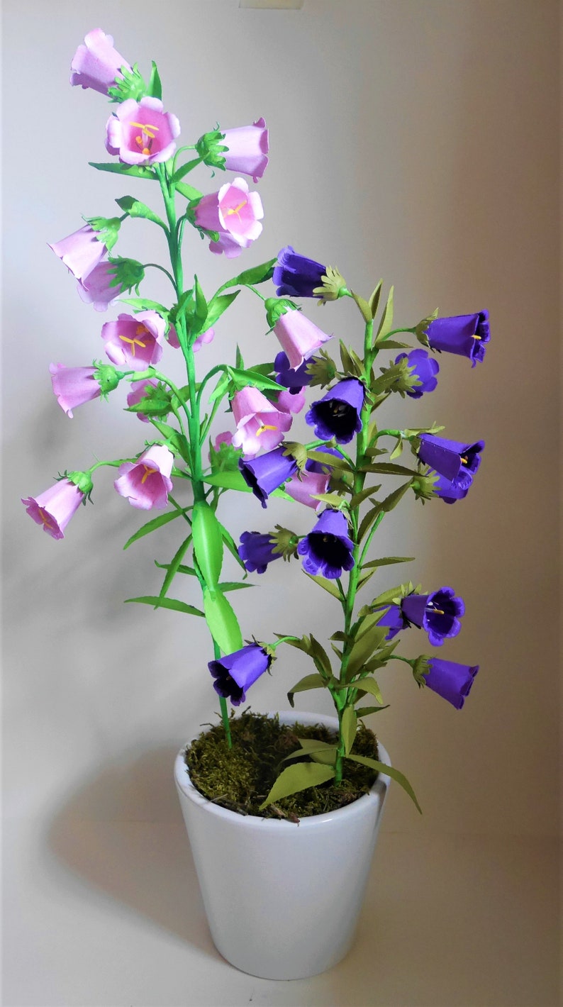 Canterbury Bells - Paper Flower - Templates - Instant Download - SVG ...