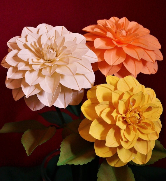 Dahlia Paper Flowers Templates Digital Delivery Video - Etsy