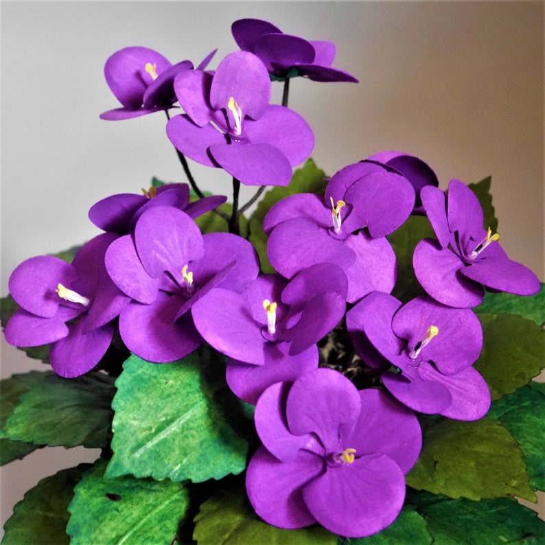 African Violet Paper Flower Templates: DIY 3D Crafts (instant Download ...