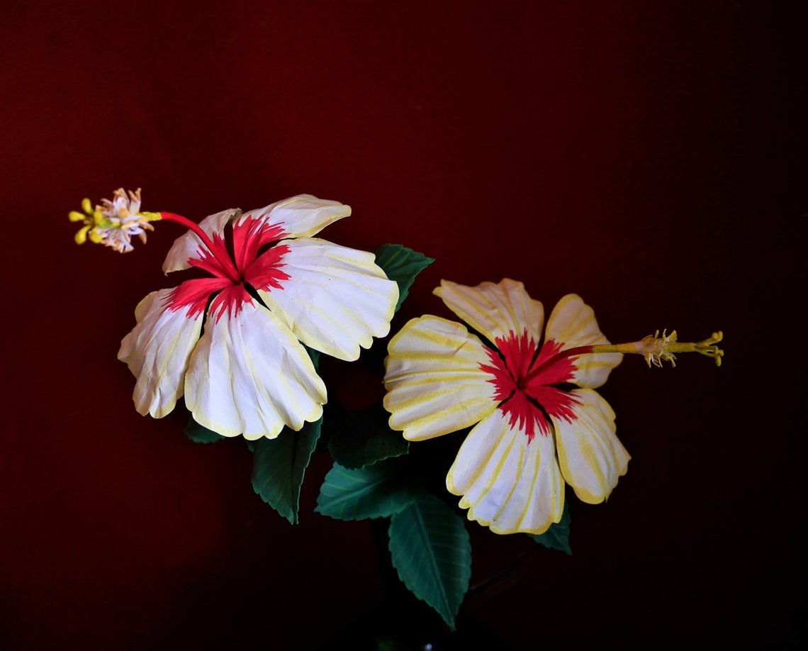 Hibiscus Paper Flower Templates Video Tutorial Digital | Etsy
