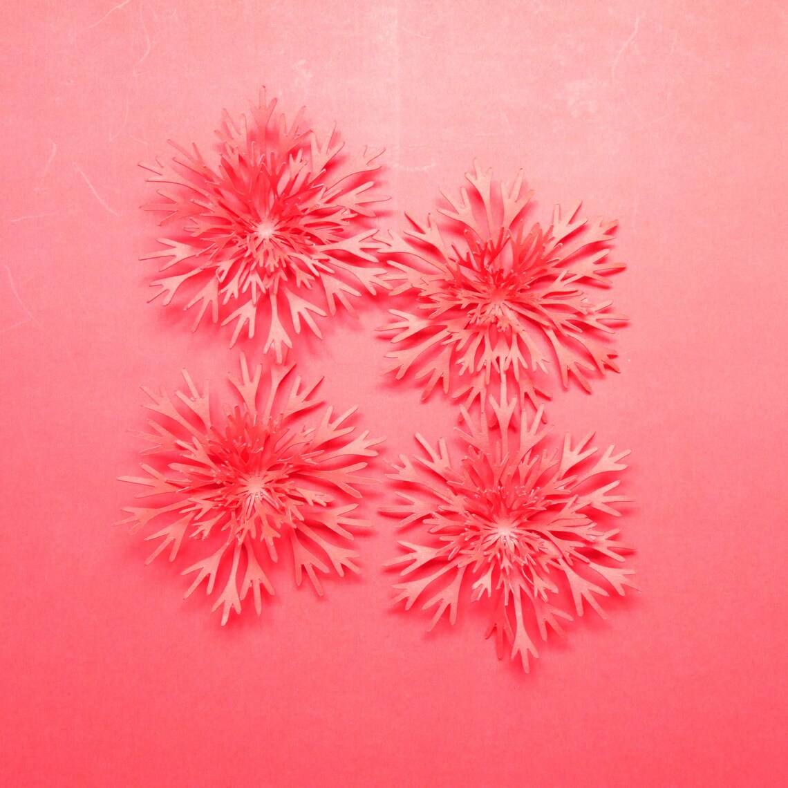 Khione Bloom Paper Flower Template: DIY Filler Flower (instant Download ...