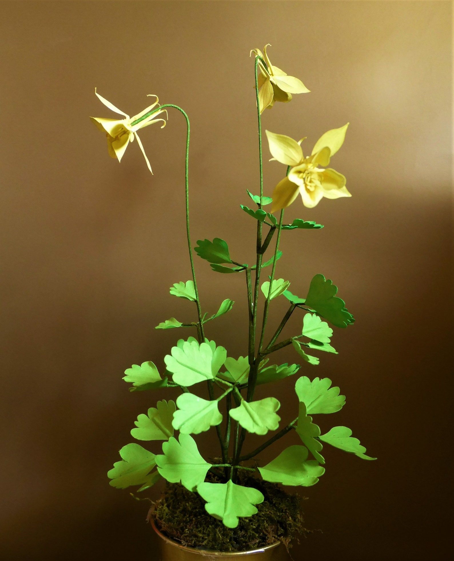 Columbine Flower - Templates - Paper Flower - Instant Download - Video ...