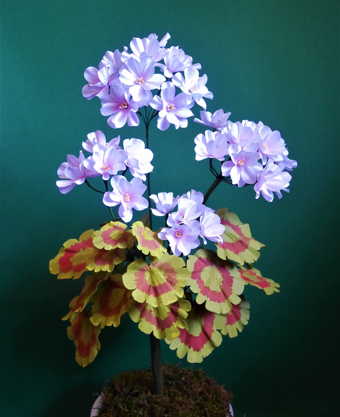 Begonia - Paper Flower - Templates - Instant Download - Video Tutorial ...