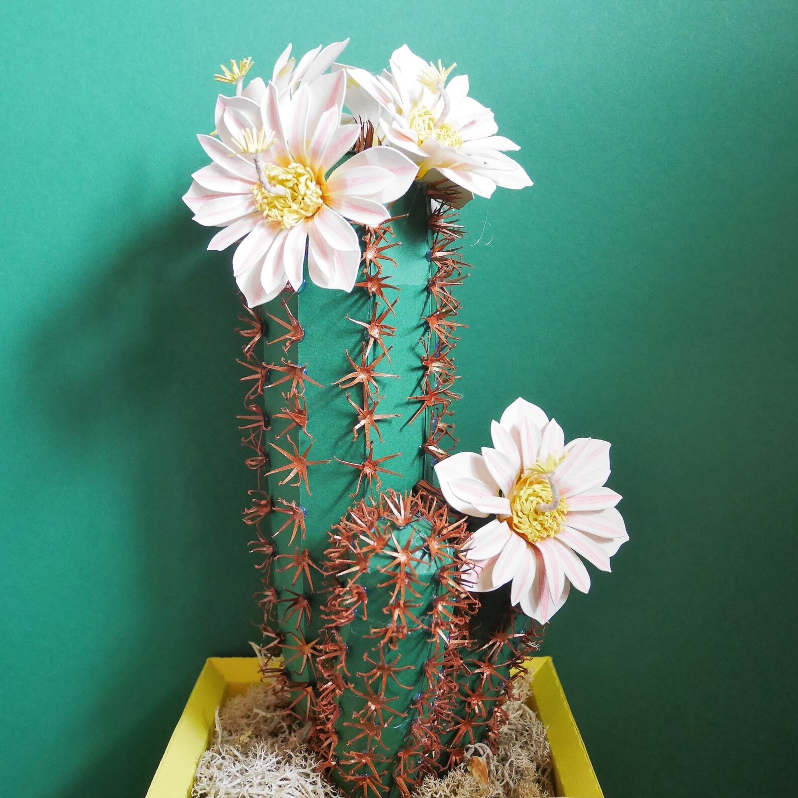 Cardon Grande Cactus Templates 3D Cactus Paper Flowers - Etsy