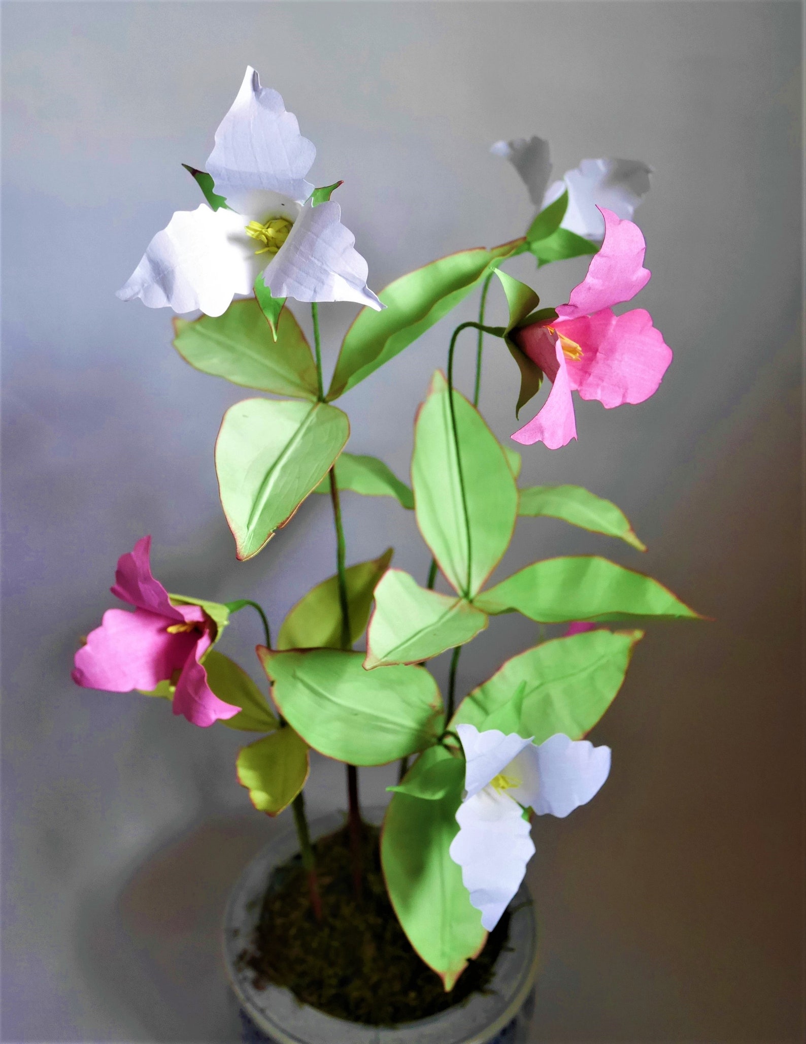 Trillium Grandiflorum Paper Flower Templates Instant - Etsy