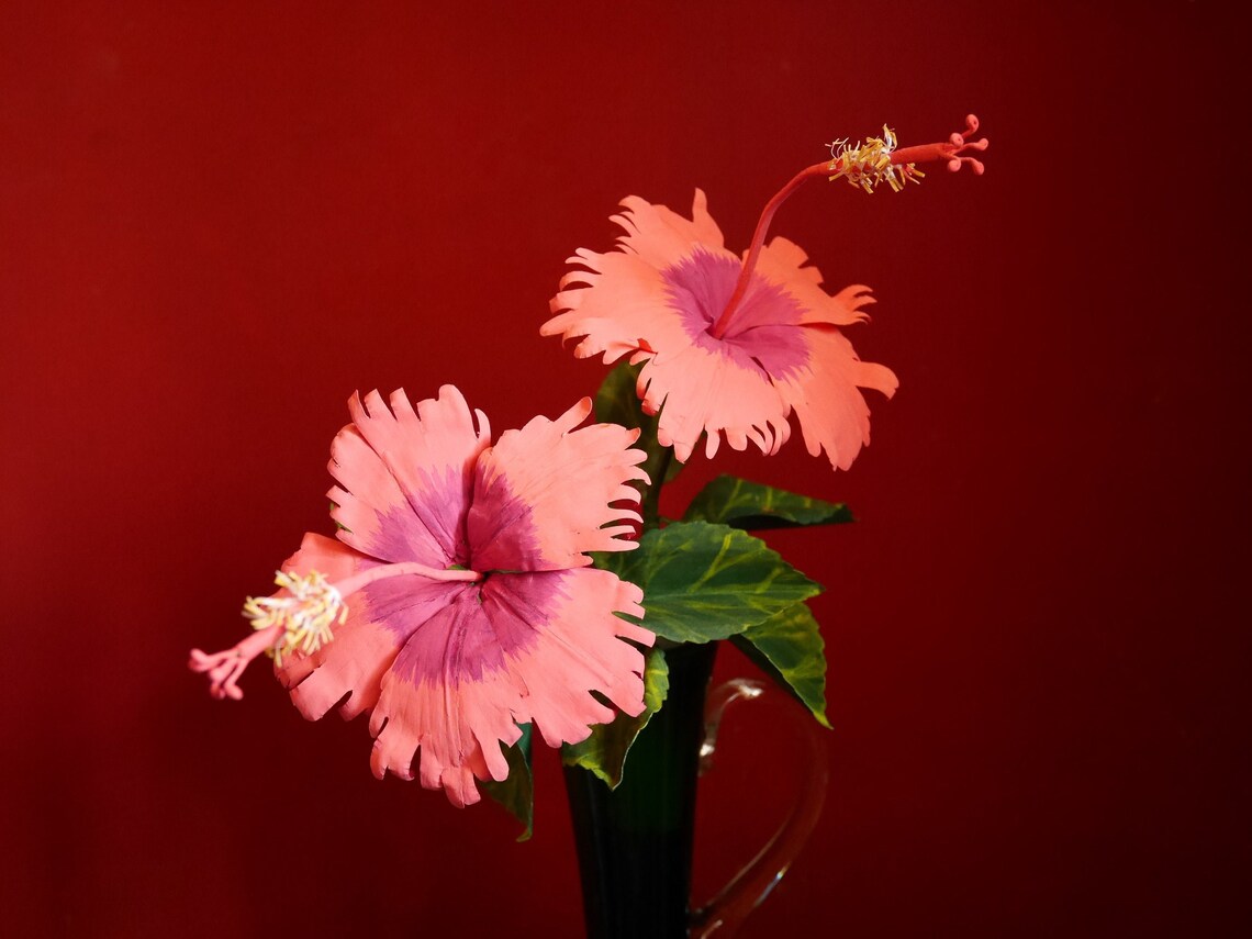 Hawaiian Hibiscus Paper Flower Templates Video Tutorial - Etsy