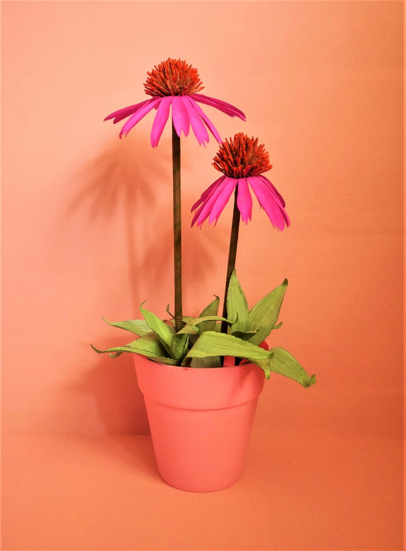 Cone Flower Paper Flower Templates Video Tutorial SVG | Etsy