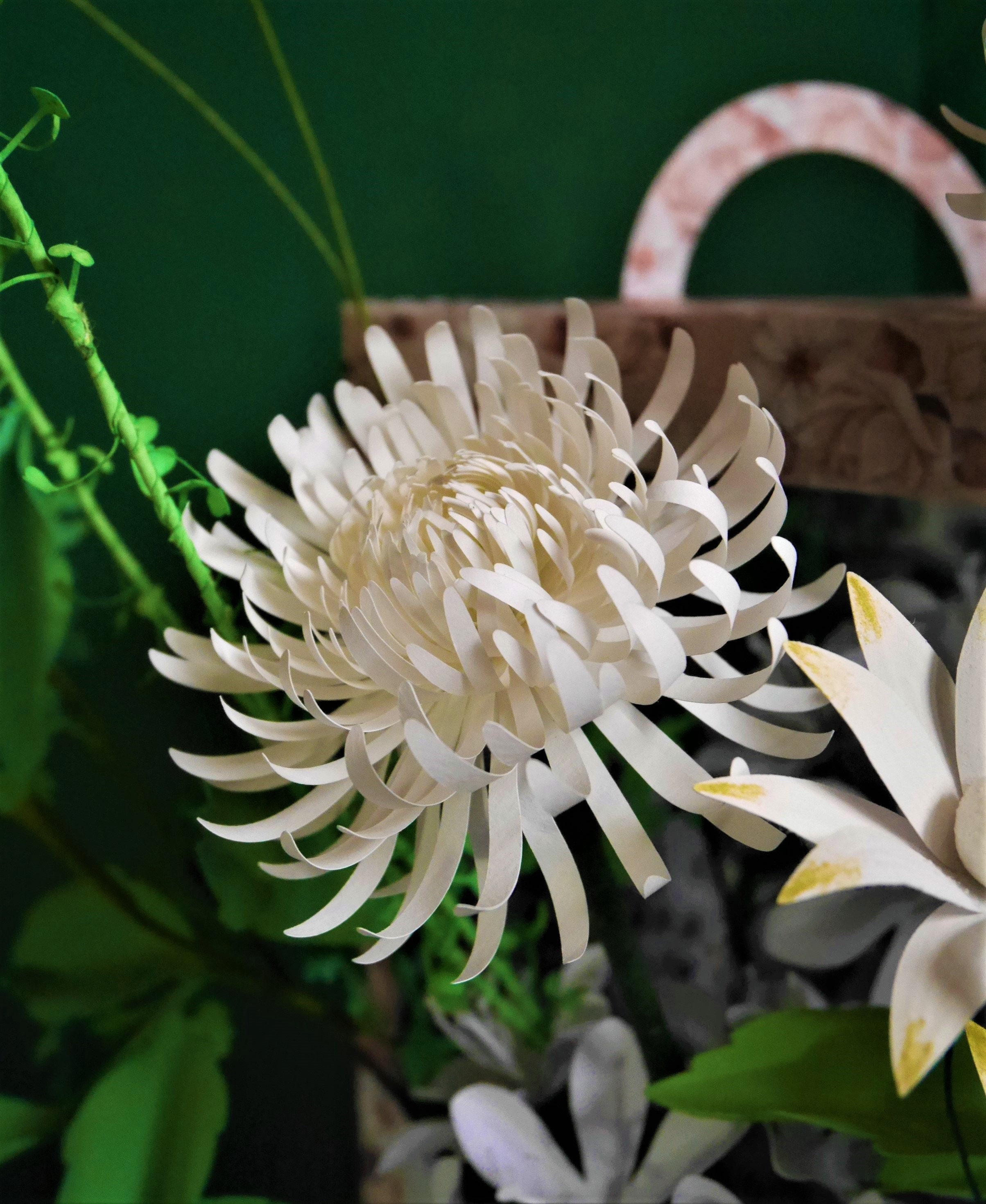 Anastasia Spider Mum Paper Flower Templates Video Etsy