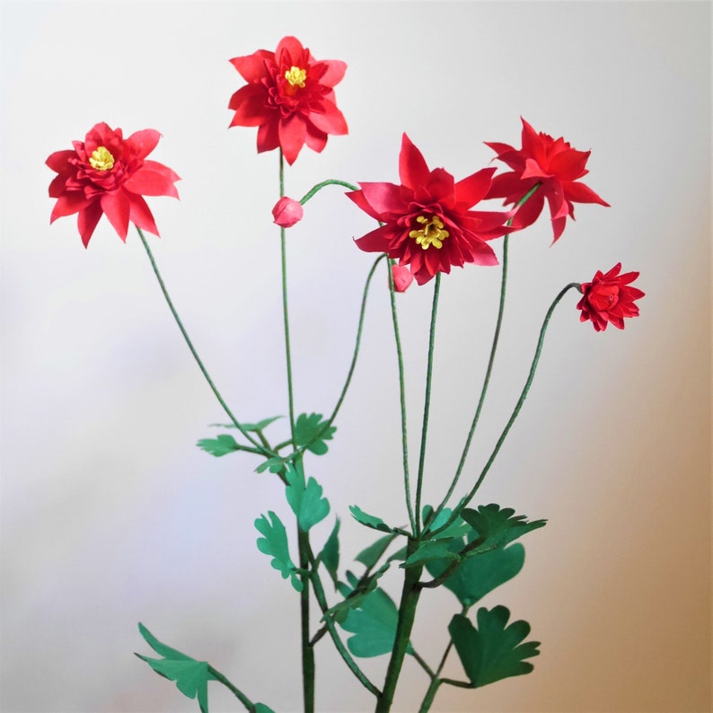 Aquilegia Columbine - Paper Flower - Templates - Instant Download ...