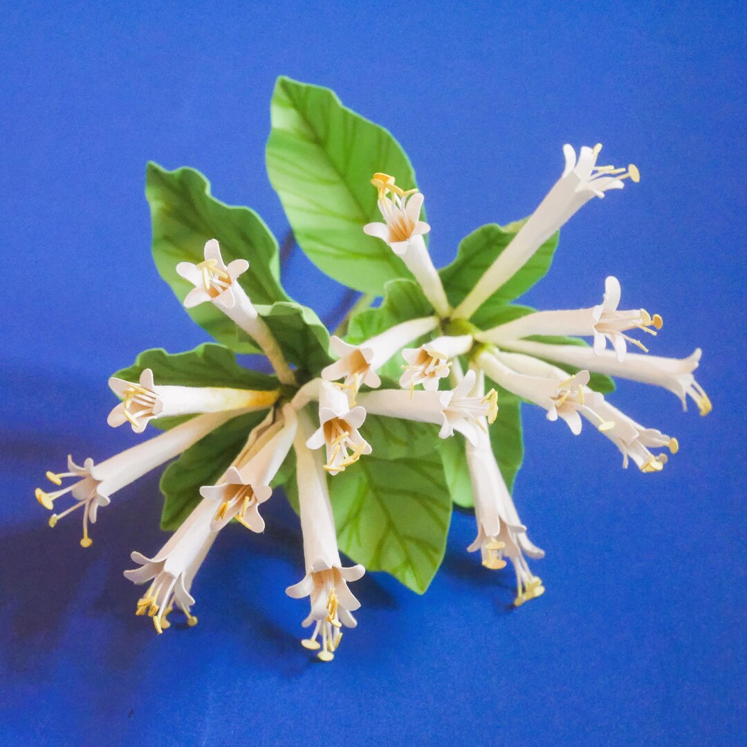 Honeysuckle Paper Flower Templates: DIY Bouquet SVG, Cricut, Scan&cut ...
