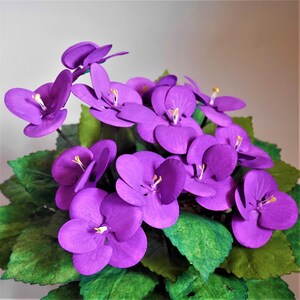 African Violet Paper Flower Templates: DIY 3D Crafts (instant Download ...