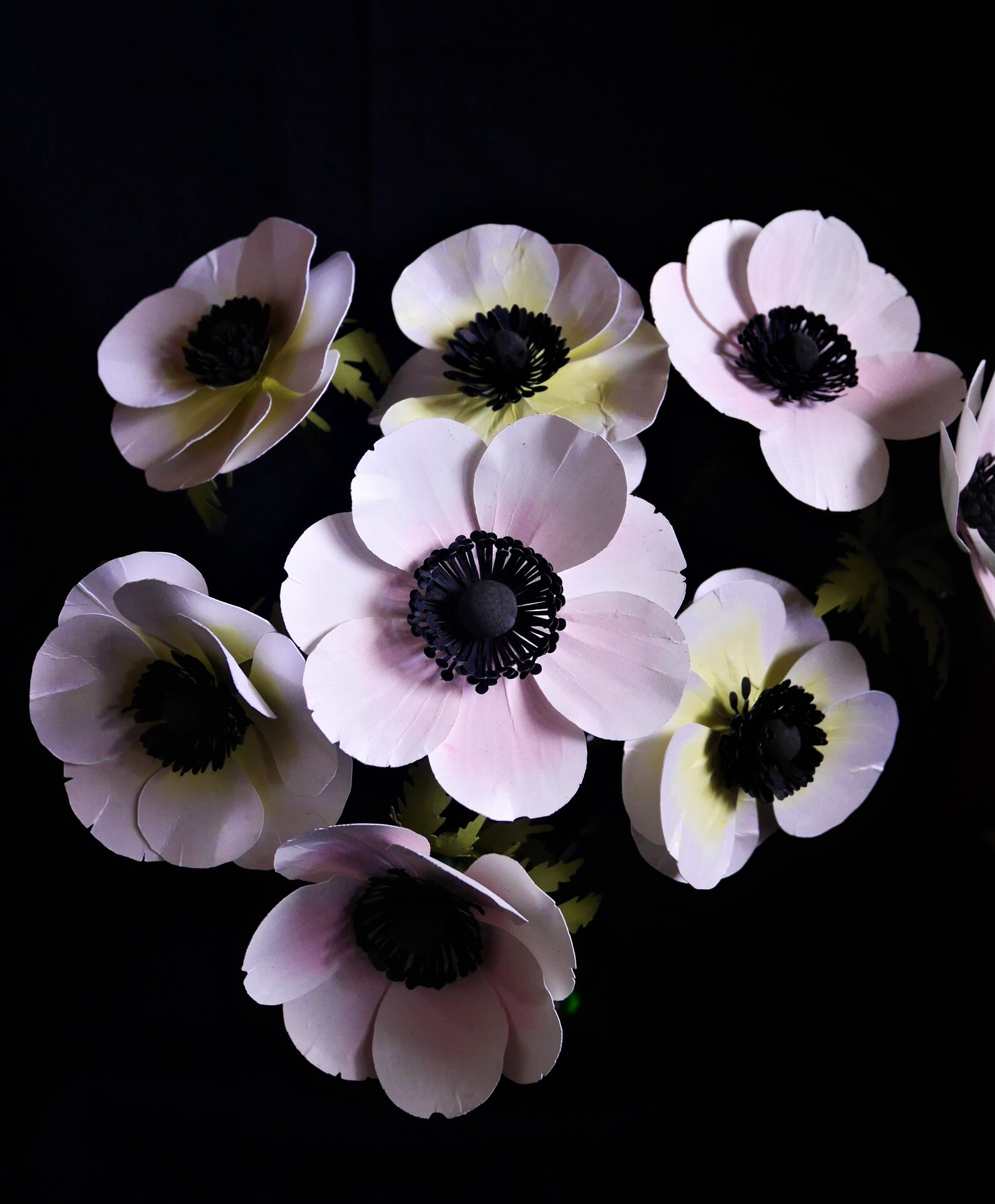 Giant Anemones Paper Flower Templates Digital Delivery - Etsy