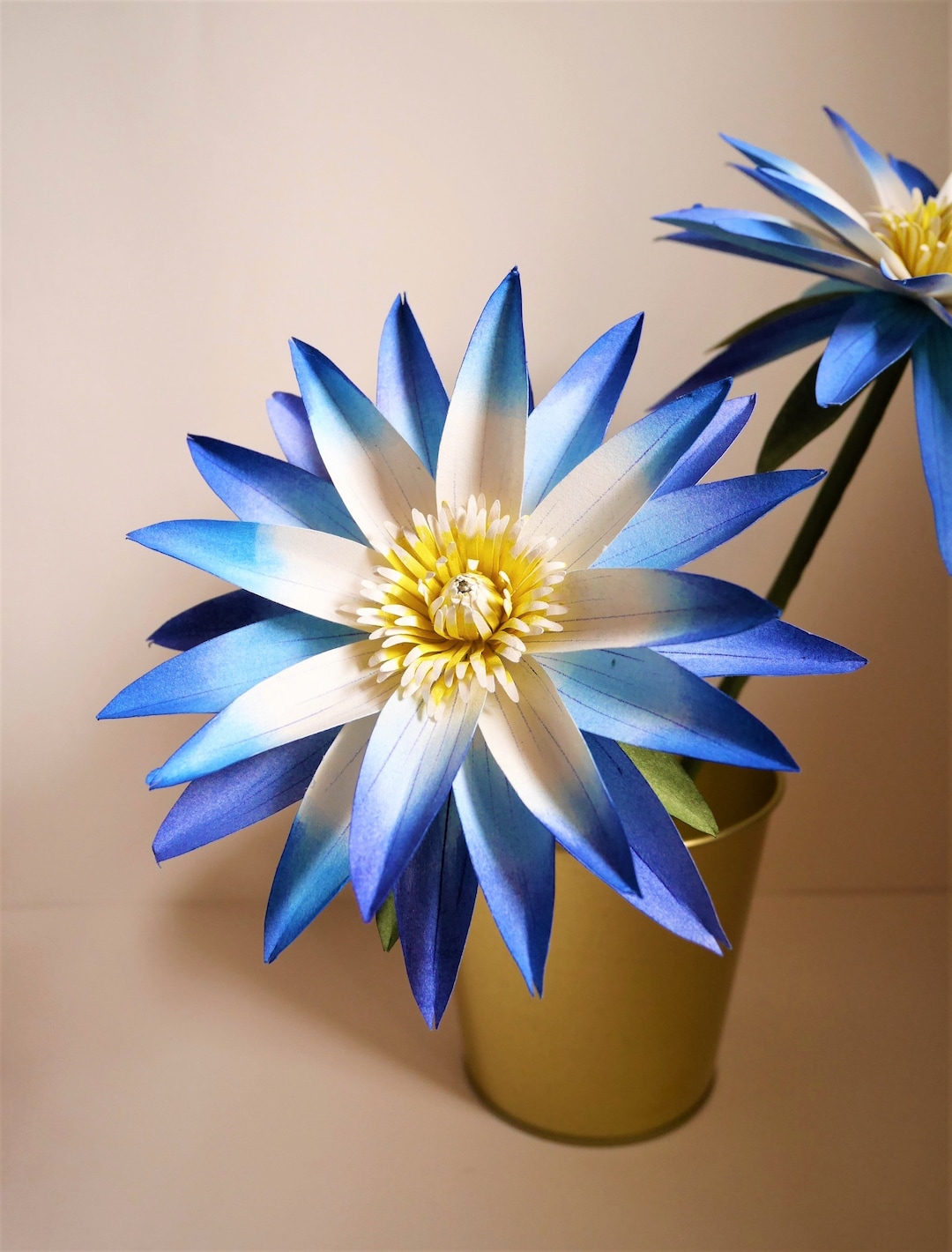 Water Lily - Paper Flower - Templates - Video Tutorial - Digital ...