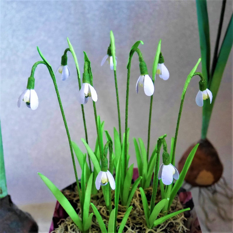 Snowdrops and Planter Paper Flower Templates Video - Etsy