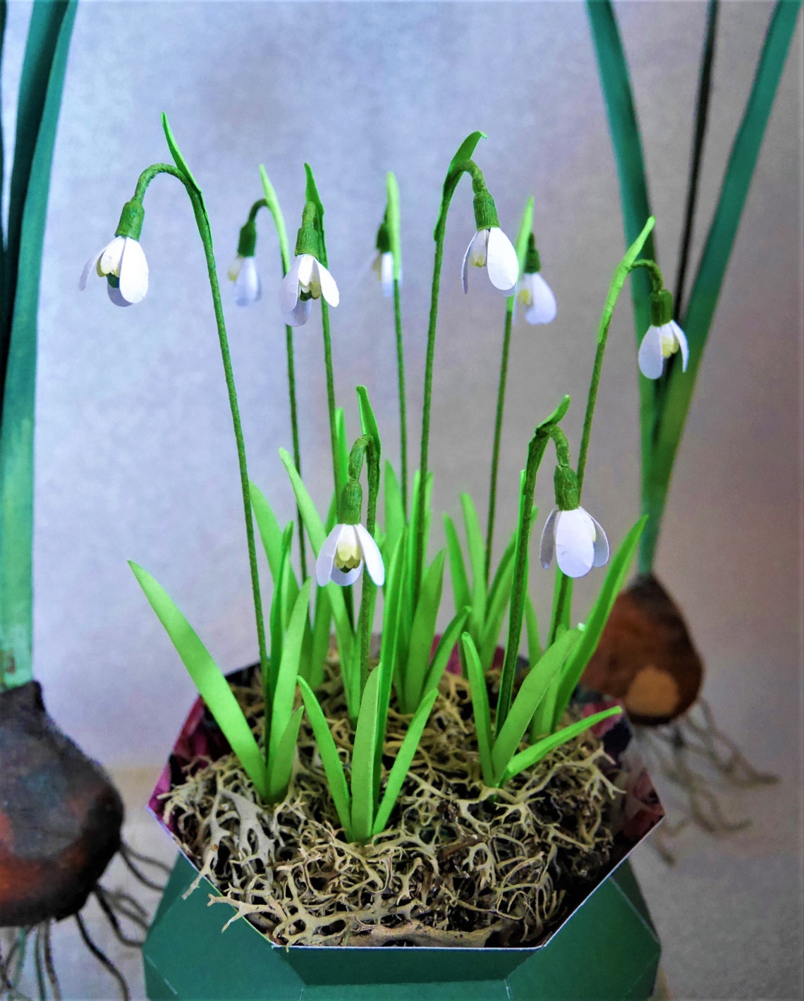 Snowdrops and Planter Paper Flower Templates Video - Etsy