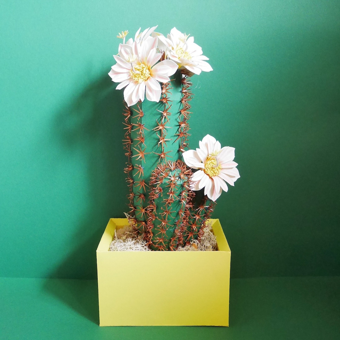 Cardon Grande Cactus - Templates - 3D Cactus - Paper Flowers - Instant ...