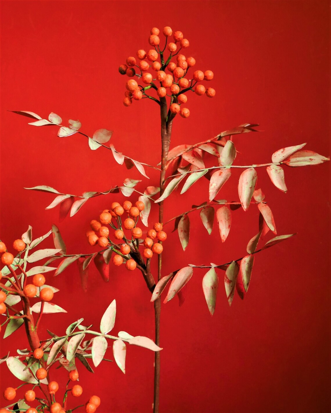 Rowan Ash Tree Branch - Templates - DIY - Video Tutorial - SVG ...