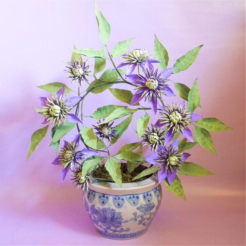 Taiga Clematis Paper Flowers Templates DIY Instant - Etsy