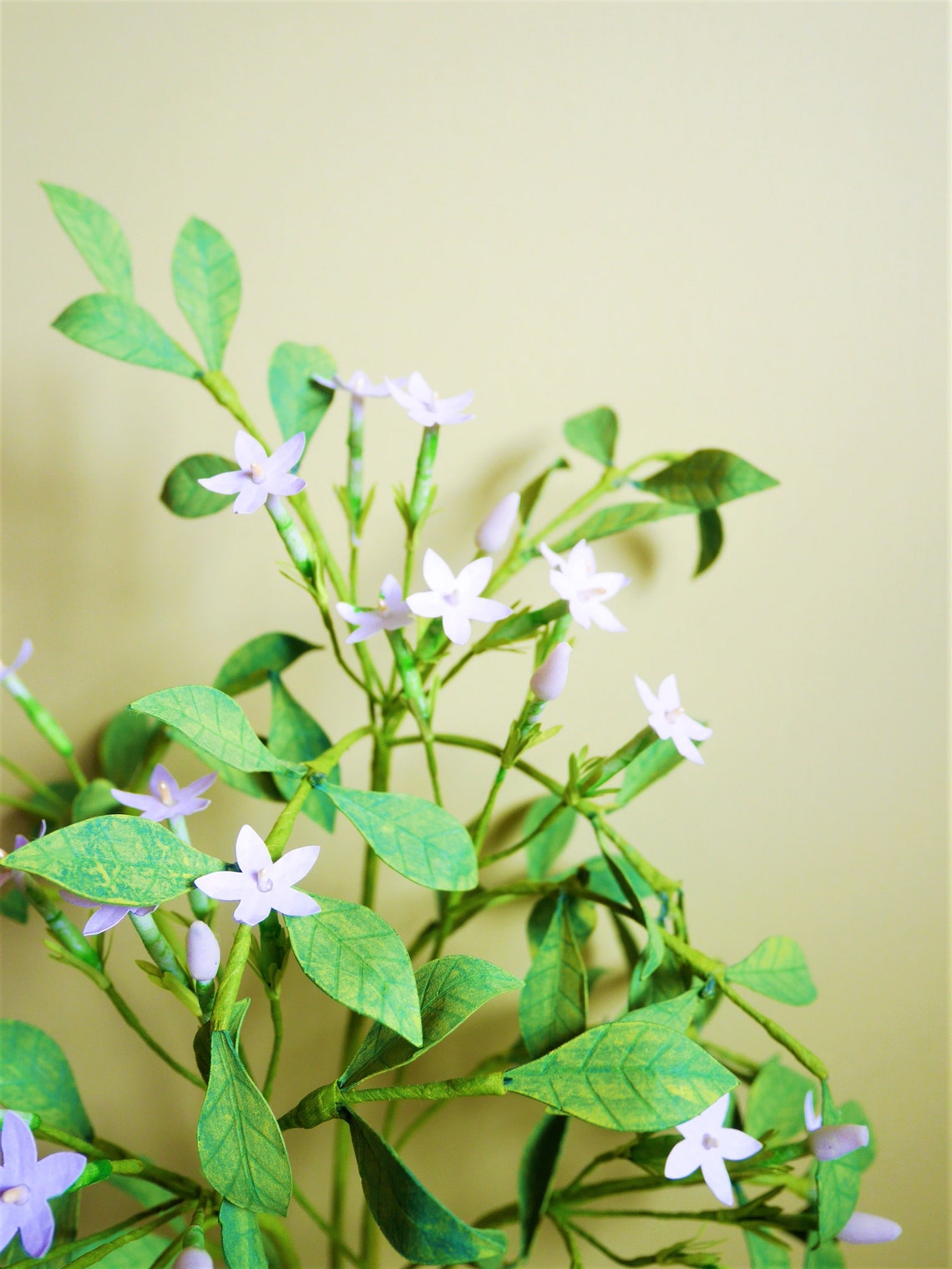 Jasmine - Paper Flower - Templates - Instant Download - Video Tutorial ...