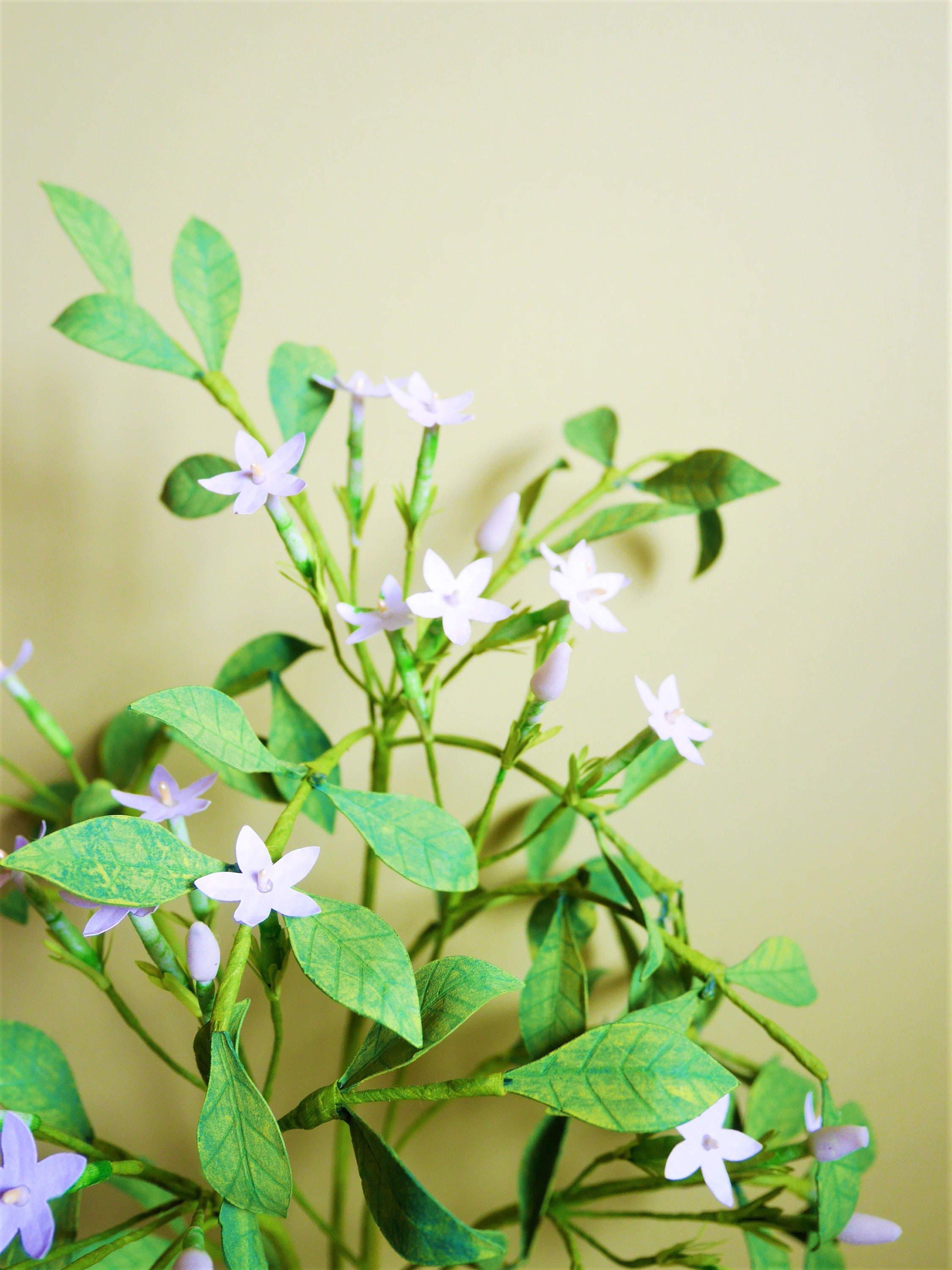 Jasmine - Paper Flower - Templates - Instant Download - Video Tutorial ...