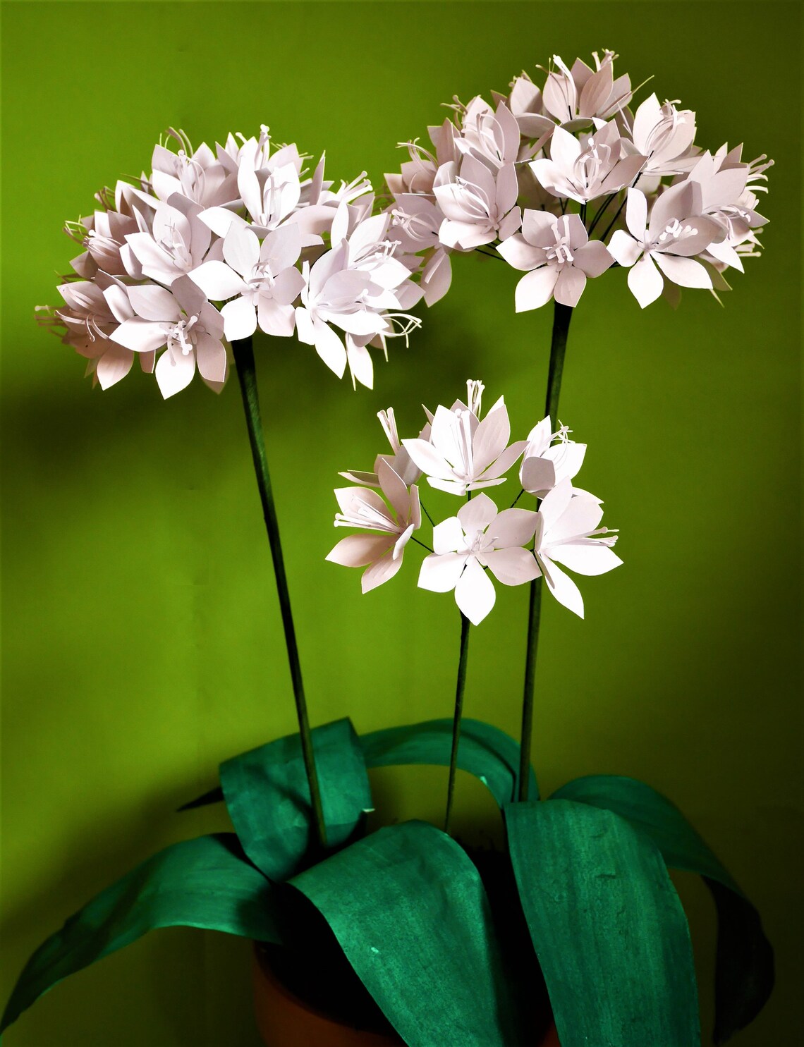 White Allium Paper Flower Templates Instant Download - Etsy