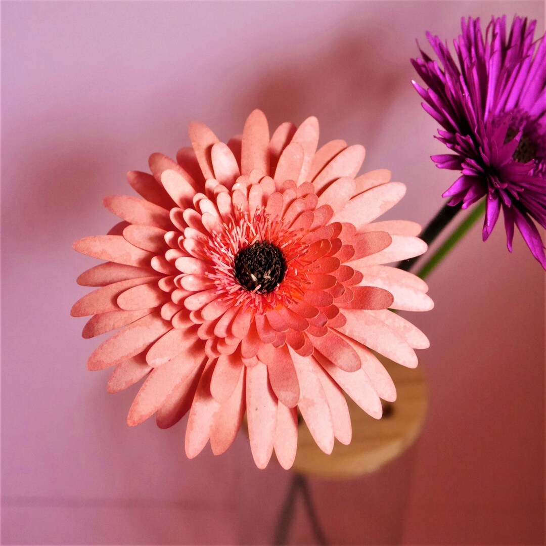 Easy Double Gerbera - Templates - Paper Flower - Video Tutorial ...